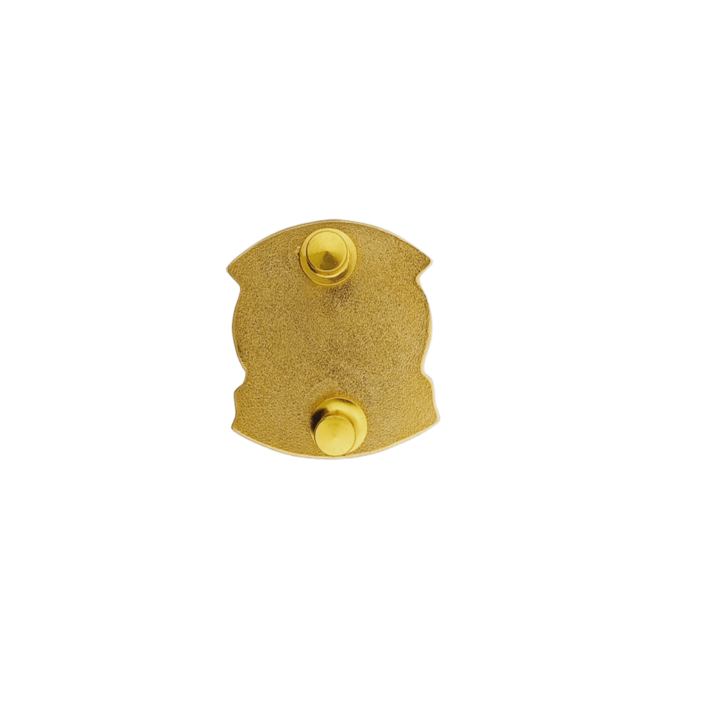 Criminal Investigation Course (CIC) Pin – philippinepublicsafetysupply