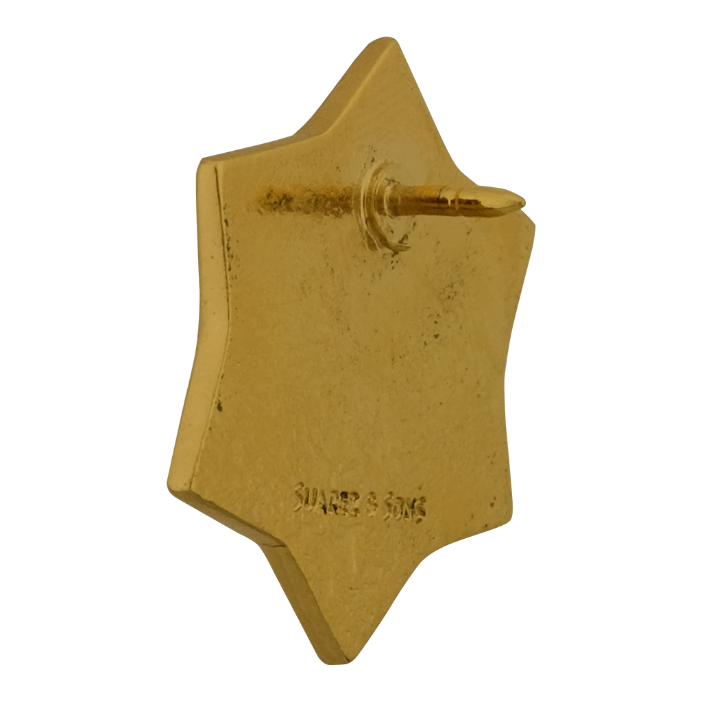 Cebu City Traffic Operations Management (CITOM) Pin ...