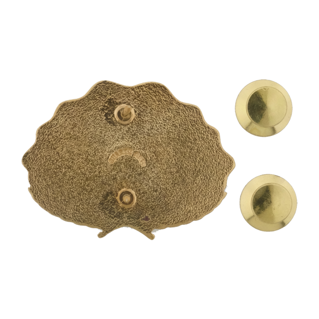 Finance Course Pin – philippinepublicsafetysupply