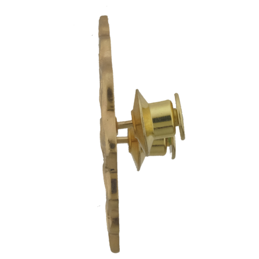 Finance Course Pin – philippinepublicsafetysupply