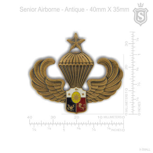 Senior Airborne Pin – philippinepublicsafetysupply
